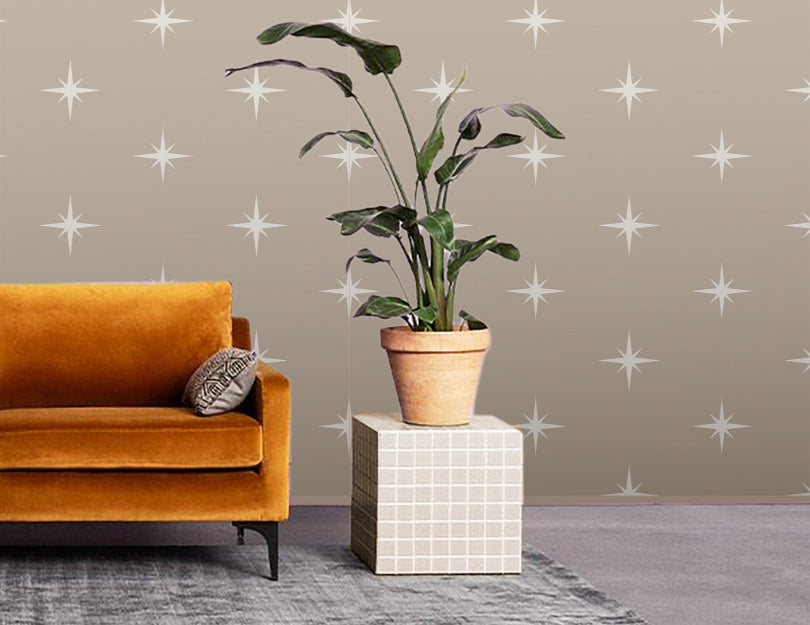 North Star – Erica Puccio